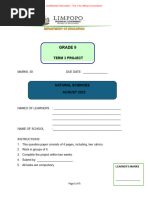 Technology Grade 9 ATP 2025 | PDF | Beam (Structure) | Mechanical ...