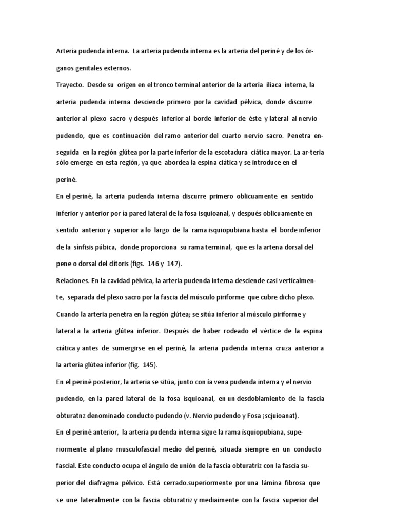 Arteria Pudenda Interna: Trayecto y Ramas | PDF | Pelvis | Sistema ...