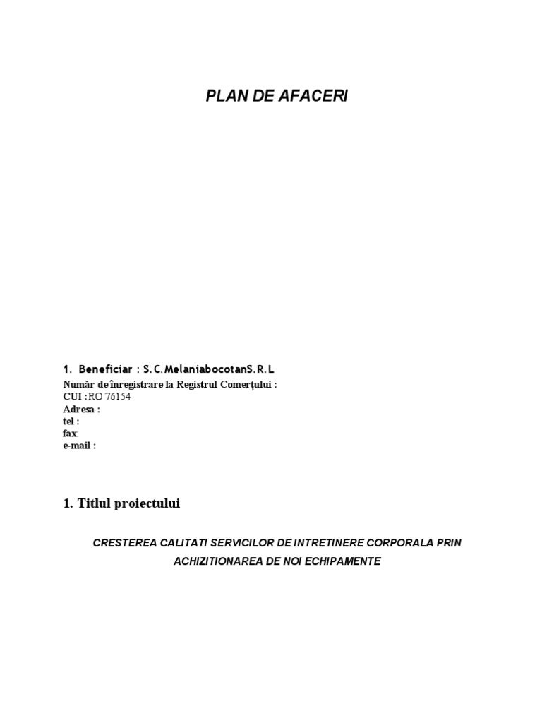 Plan de Afaceri Final MODEL | PDF