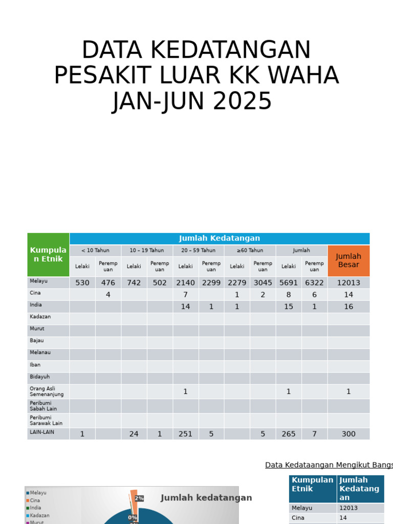 Data Kedatangan Pesakit Luar Jan-Jun 2025 | PDF