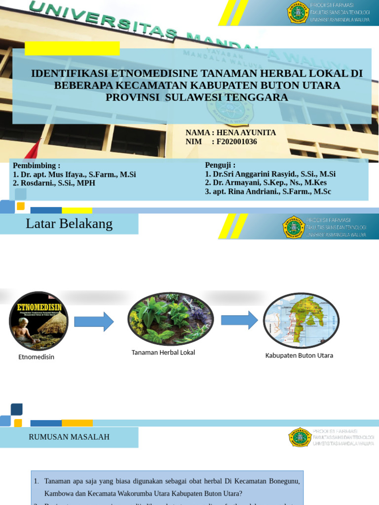 Etnomedisin Tanaman Herbal Buton Utara | PDF