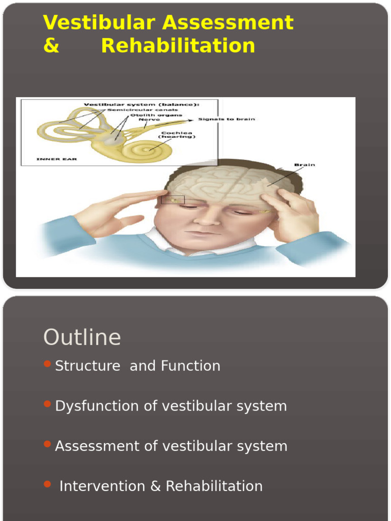 Vestibular Assessment and Rehab Overview | PDF | Vertigo | Vestibular ...