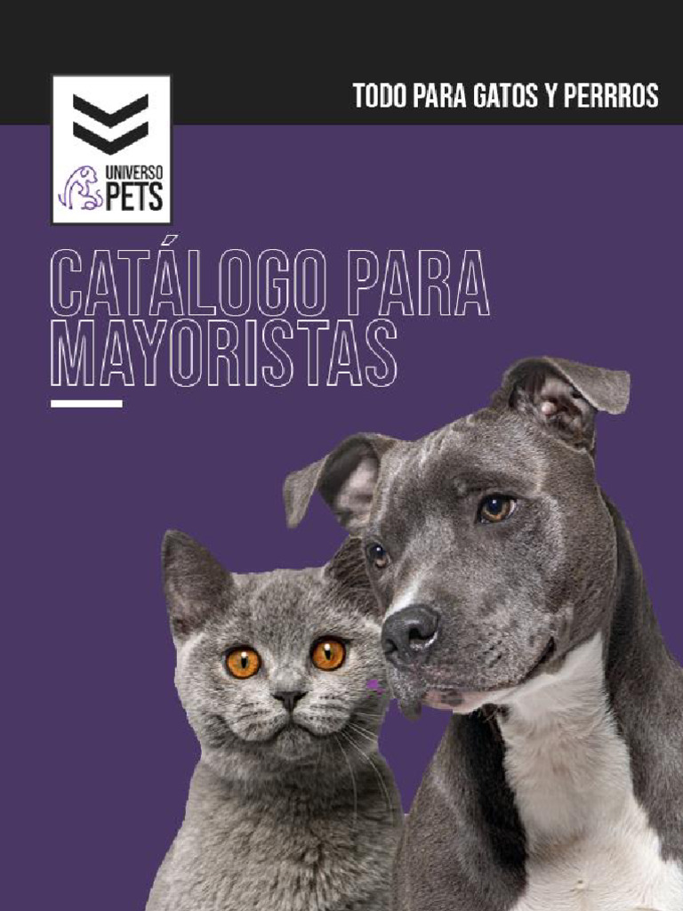 Catalogo Version 3 | PDF