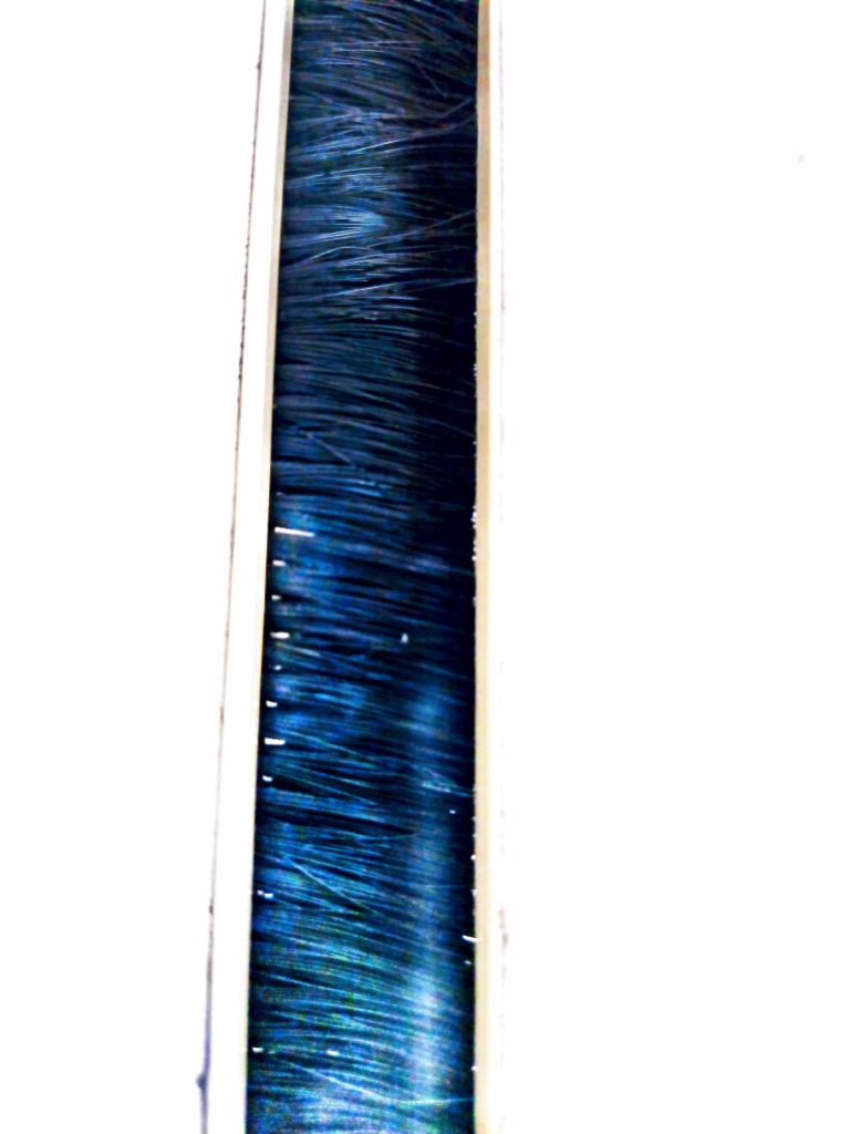 Brush HD | PDF
