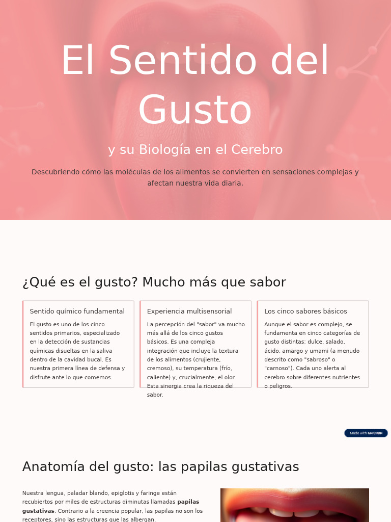 El Sentido Del Gusto | PDF | Gusto | Neurociencia