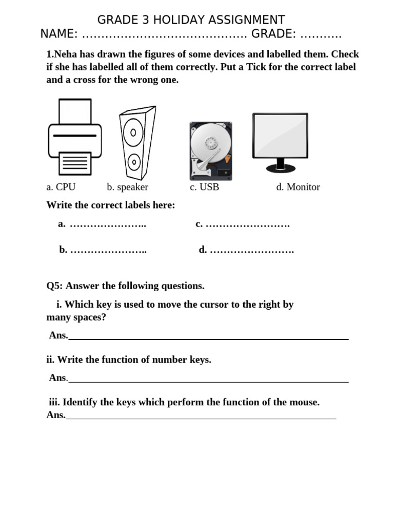 Grade 3 Holiday Assignment | PDF