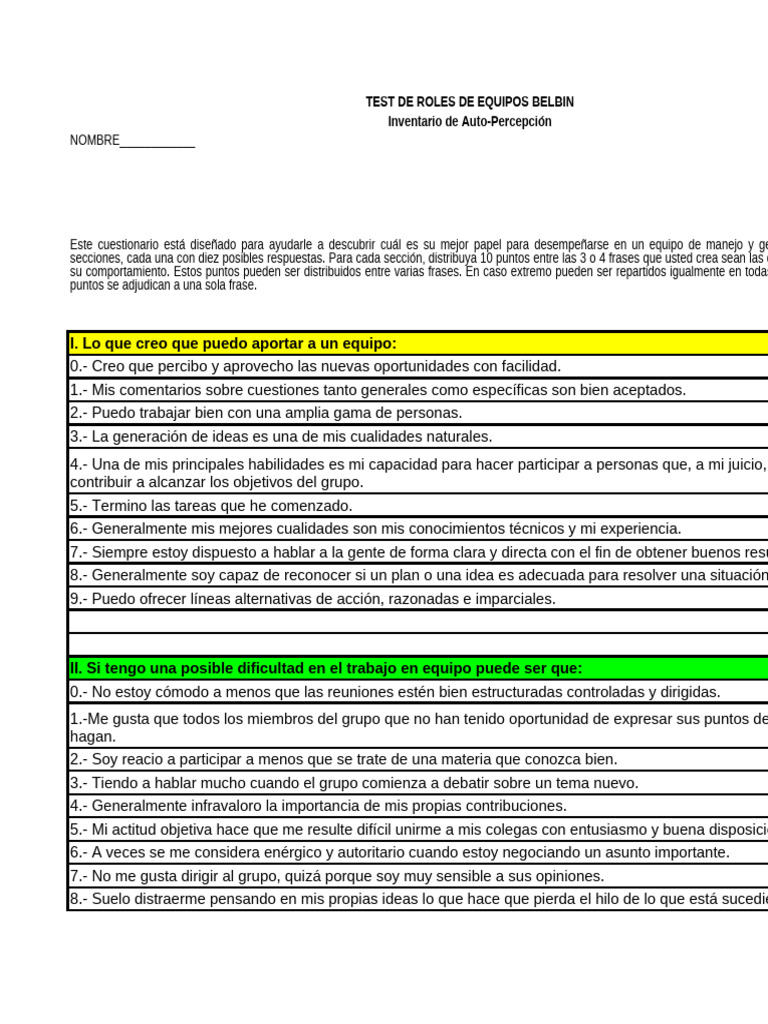 Test Belbin | PDF