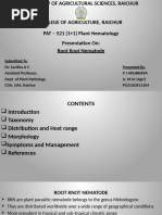 Nematode Species and Common Names List | PDF | Parasites | Plants