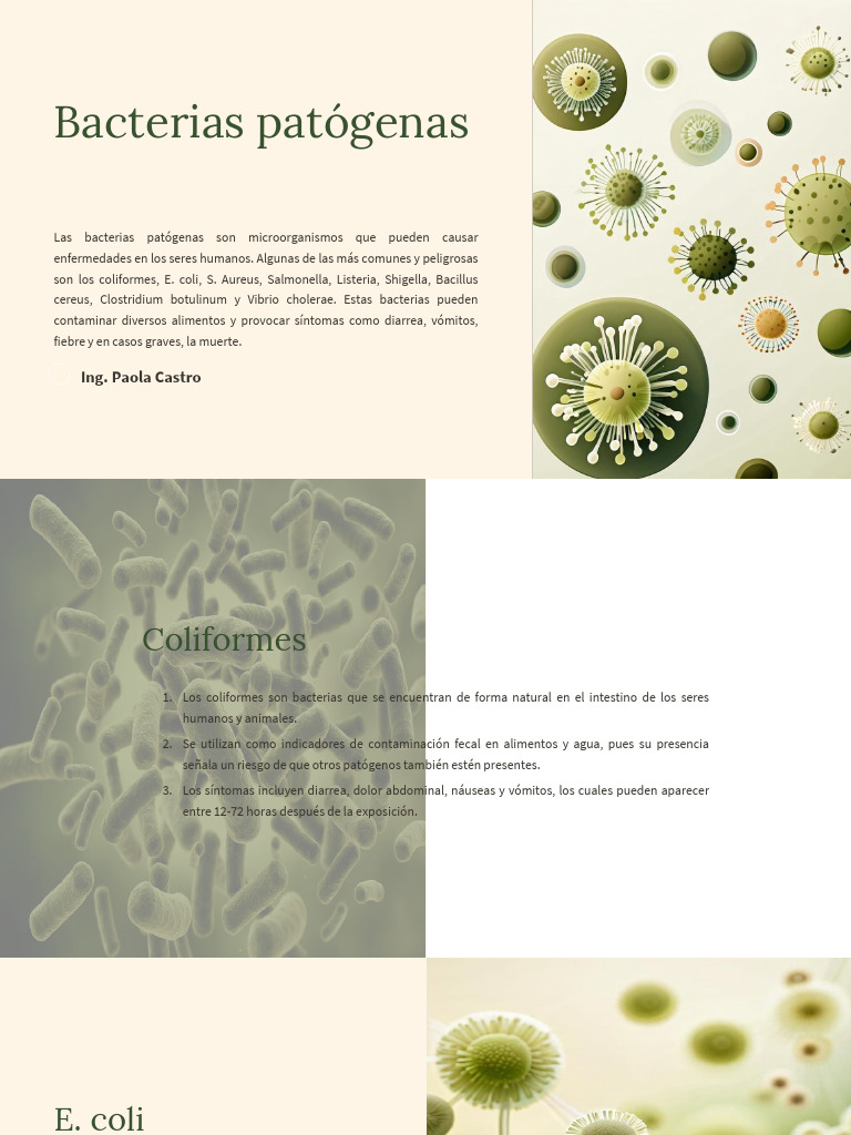 Bacterias patógenas y sus riesgos alimentarios | PDF | Diarrea ...