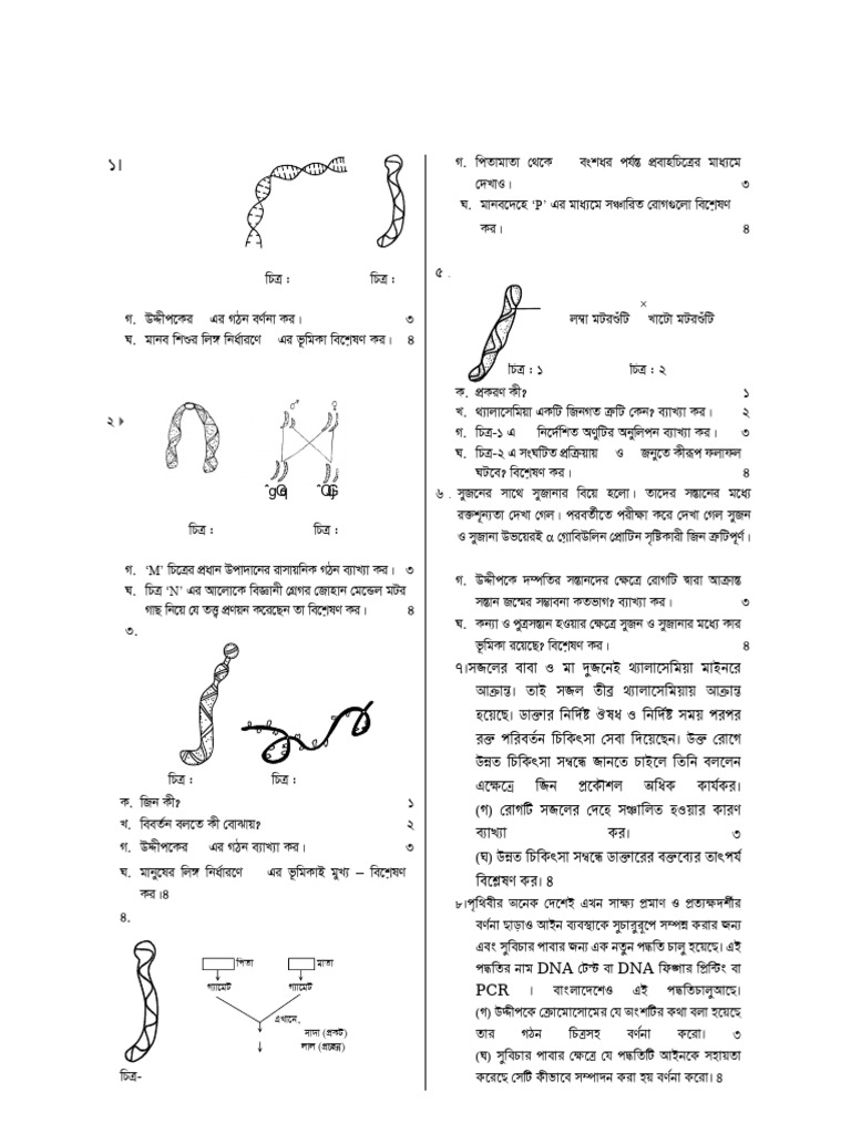 Chapter 12 Biology | PDF