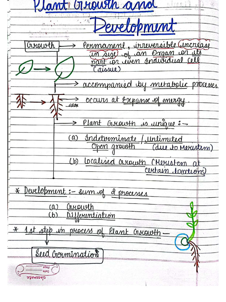 Plant Growth and Development _ Handwritten Notes __ Yakeen 3.0 2024 | PDF