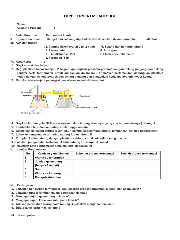 Eksperimen Fermentasi Alkohol Sederhana | PDF