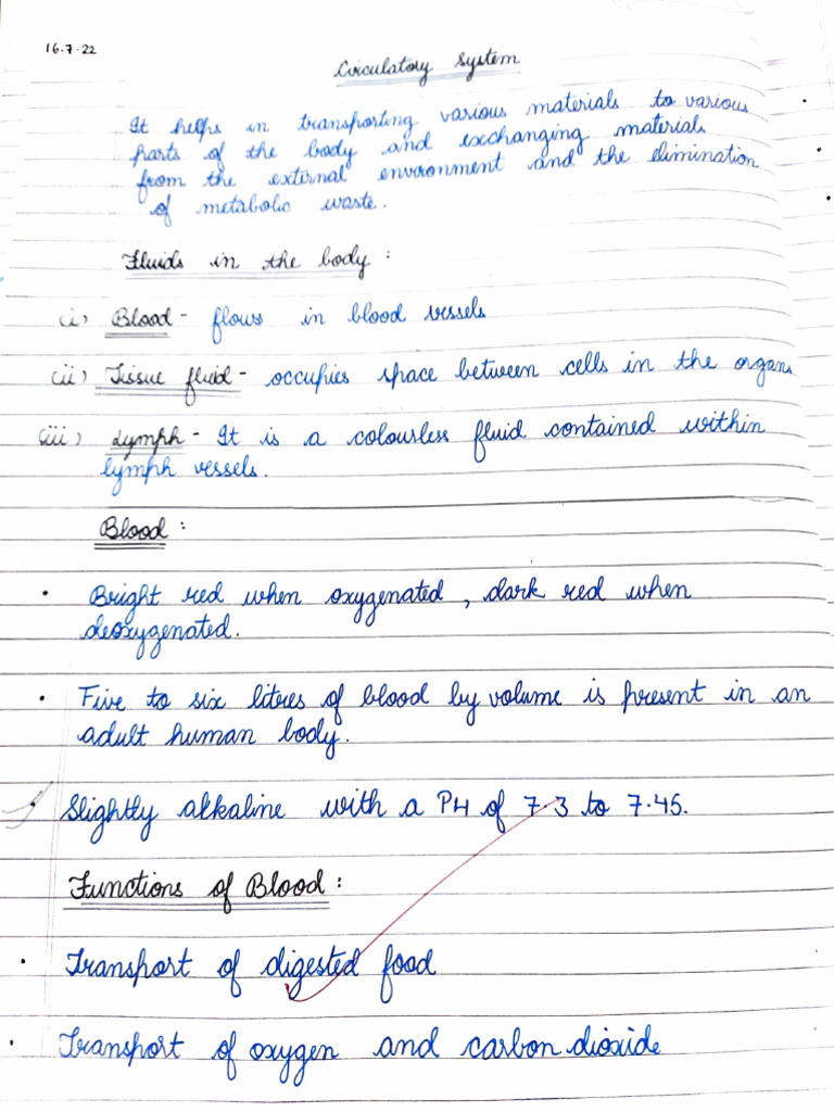 Circulatory System Notes | PDF | Blood