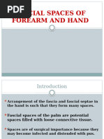 Zones of the Hand: Flexor and Extensor | PDF | Hand | Primate Anatomy