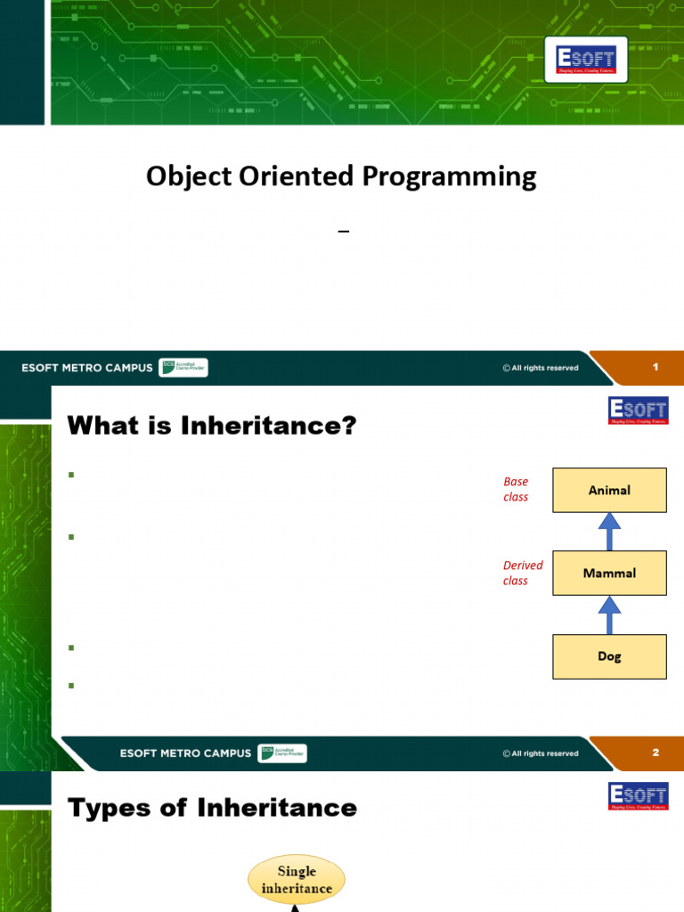 OOP W4 - Inheritance Elaborated | PDF | Class (Computer Programming) | Inheritance (Object ...