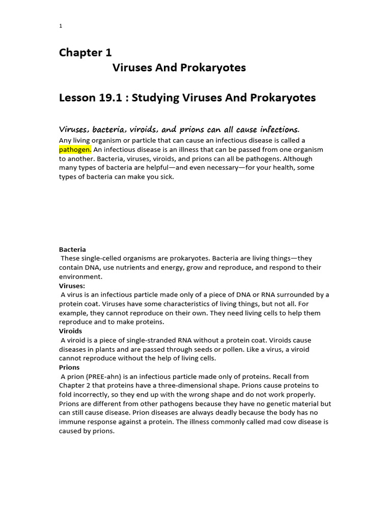 Understanding Viruses and Prokaryotes | PDF