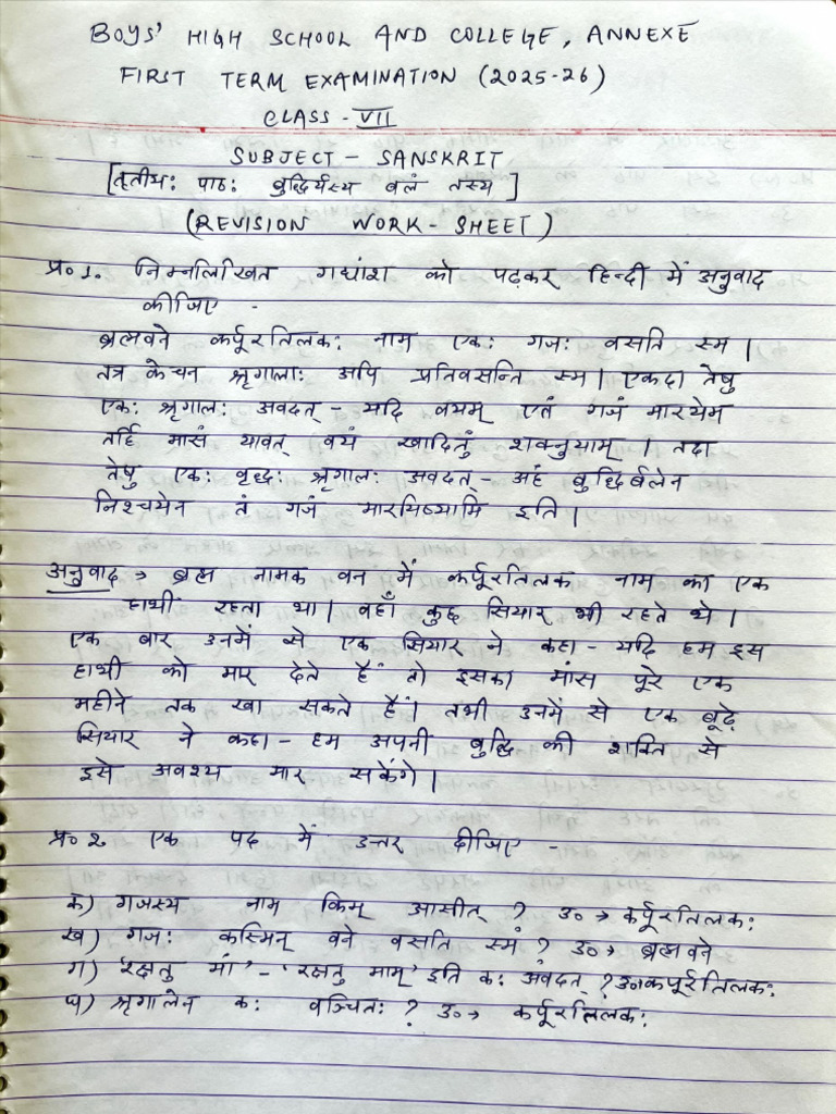 Class 7th Hindi Revision Worksheet | PDF