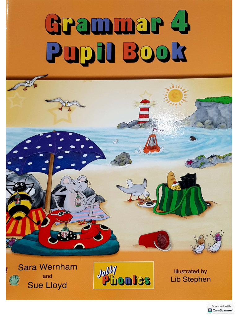 Grammar Stage 4 | PDF