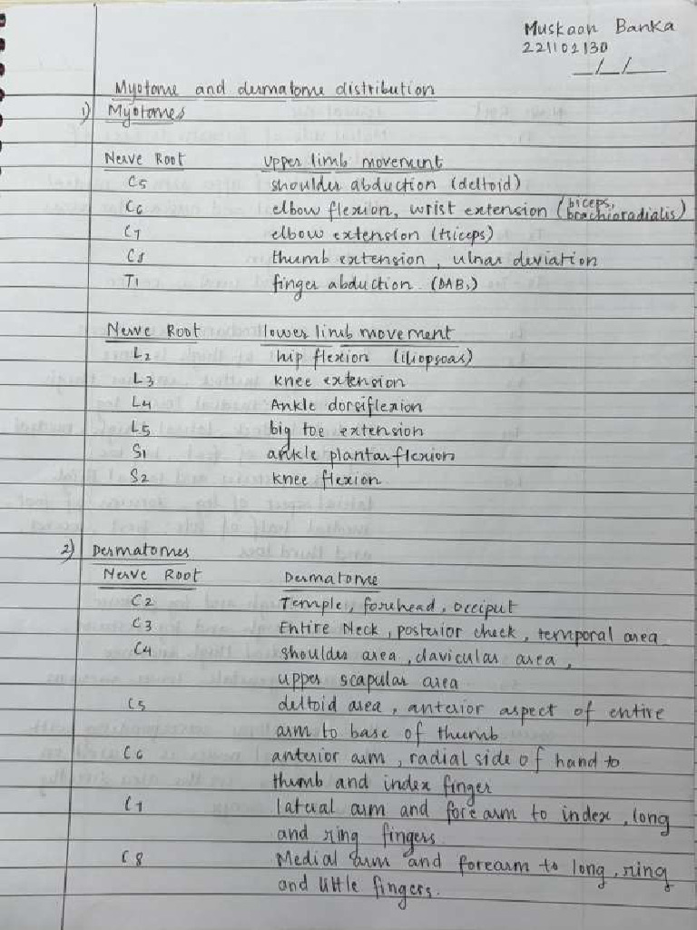 Dermatomes & Myotomes | PDF
