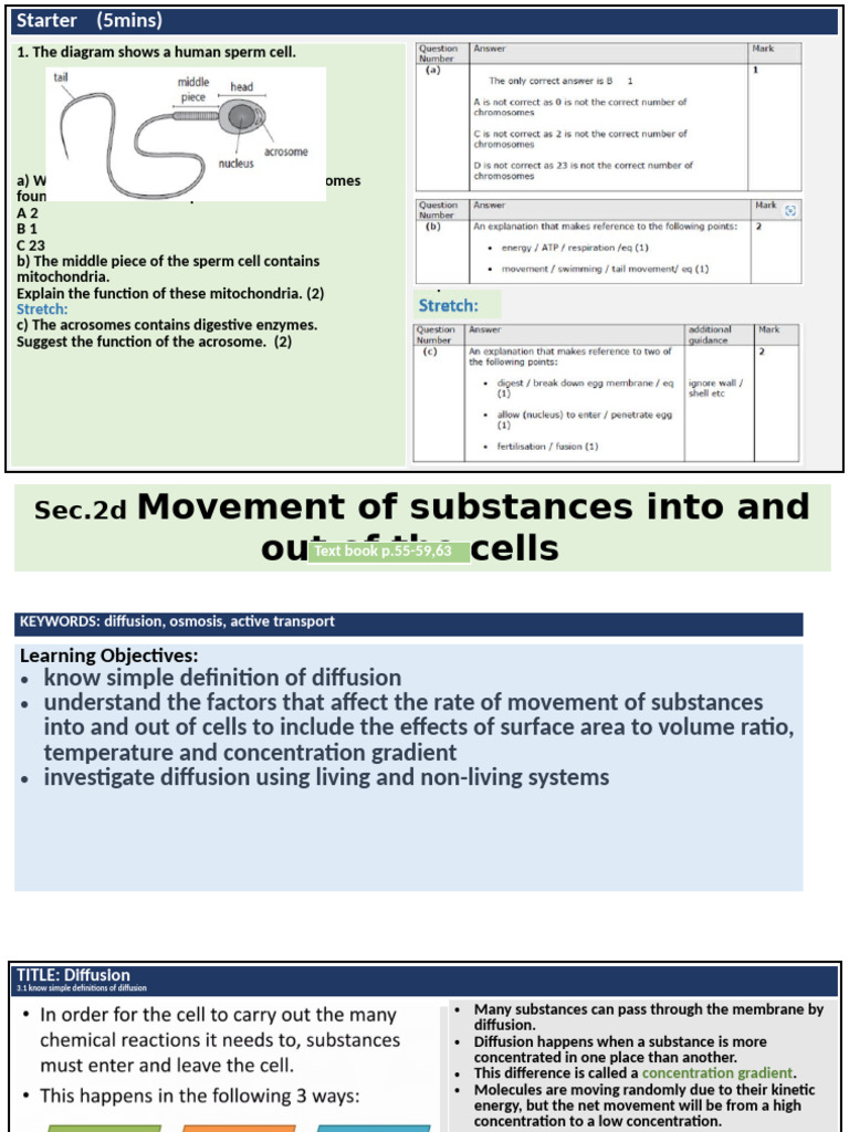 Movement of Substances Into and Out of The Cells | PDF | Enzyme | Osmosis