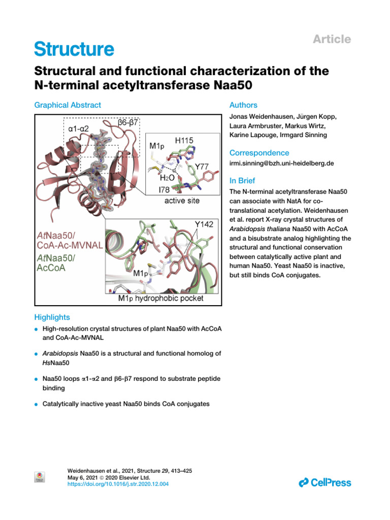 PROTEIN STRUCTURE | PDF | Amino Acid | Active Site