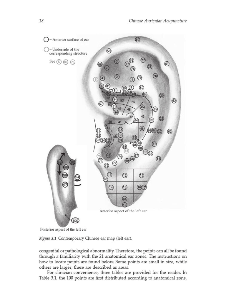 Chinese Auricular Acupuncture Points Guide | PDF | Neck | Vertebra