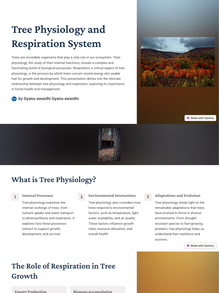 Tree Physiology and Respiration Insights | PDF | Cellular Respiration ...