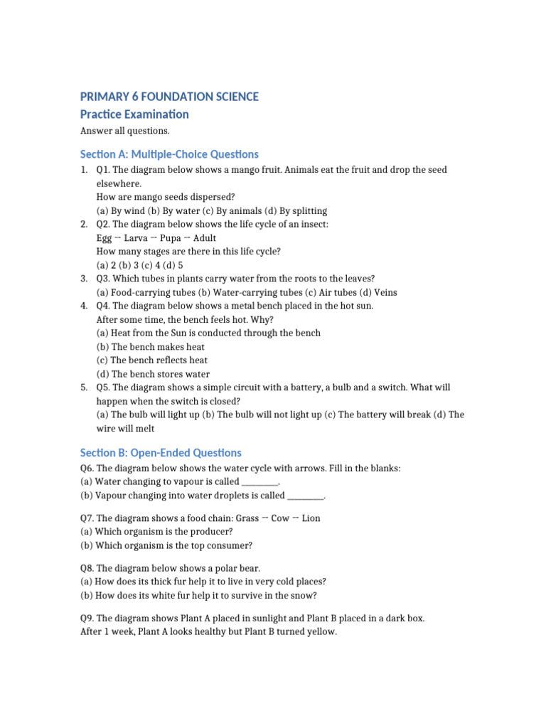 Primary 6 Science Practice Exam Term 3 | PDF