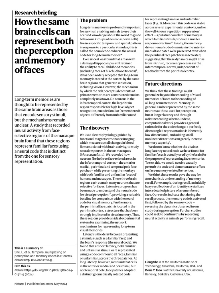 How the same brain cells can represent both the perception and memory of faces | PDF | Memory ...