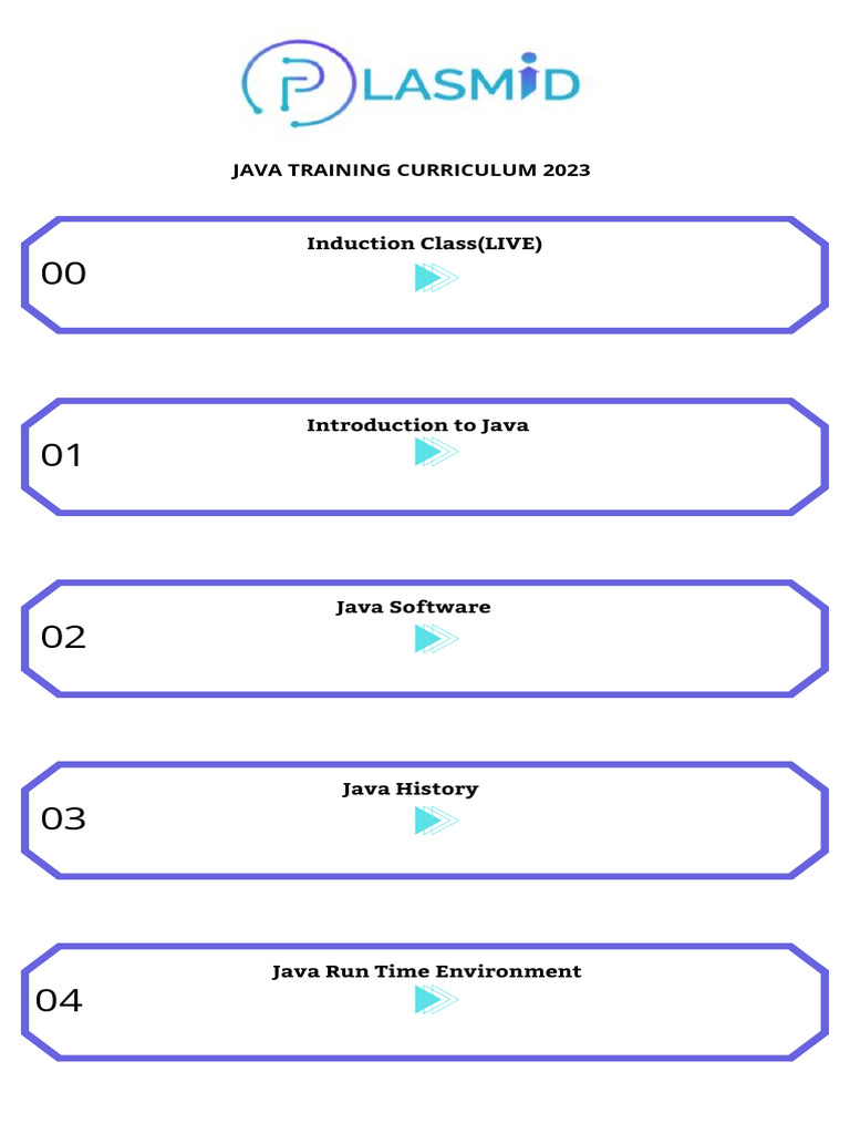 Plasmid Java Curriculum | PDF
