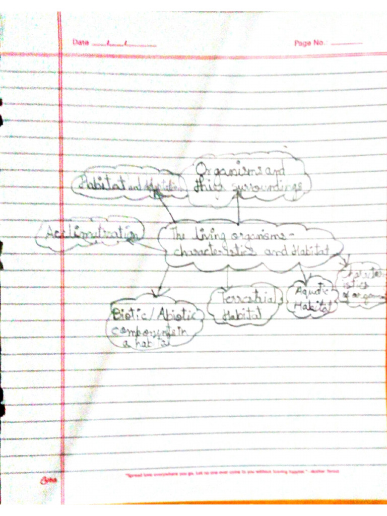 Concept Map of The Living Organisms-Characteristics and Habitat | PDF
