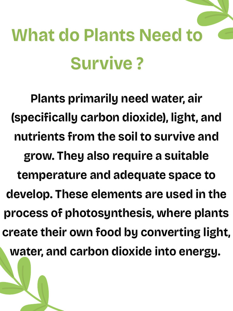 Essential Needs for Plant Survival | PDF