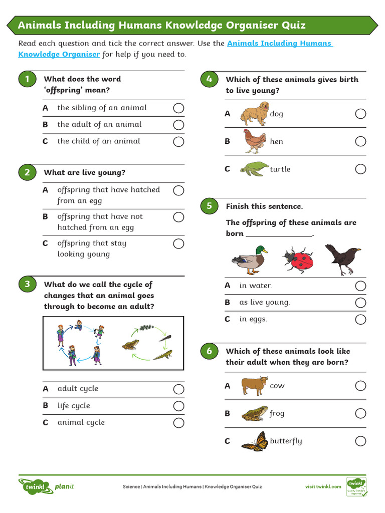 Year 2 Animals Including Humans Knowledge Organiser Quiz | PDF | Foods ...