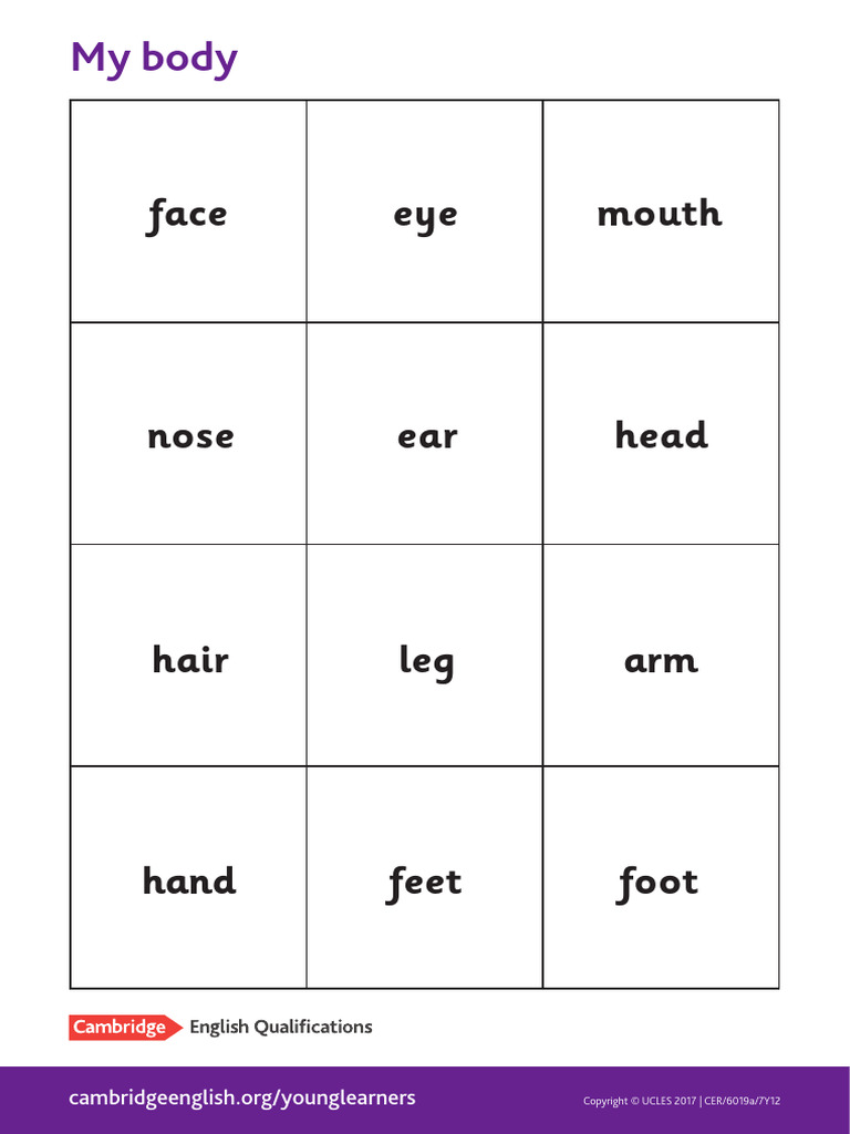 CER 6019a 7Y09 Young Learners Flash Cards Starters AB Web-3 | PDF