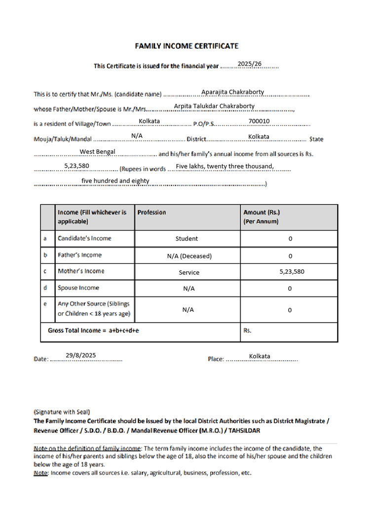Kolkata Student Financial Overview 2025 | PDF