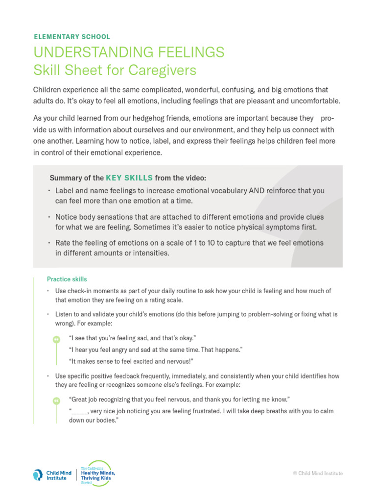 Emotional Skills for Elementary Caregivers | PDF | Feeling | Thought