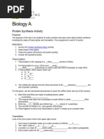 Protein Synthesis Race Worksheet | PDF | Teaching Methods & Materials ...
