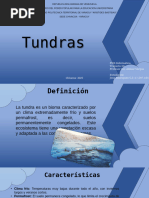 Tundra Alpina en México: Características y Ubicación | PDF | Ecosistema ...