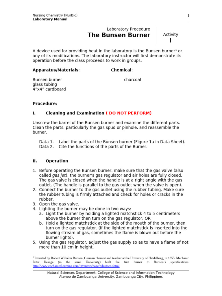NurBio Pre Activity I Bunsen Burner REVISED 081420 1 | PDF | Liquefied ...