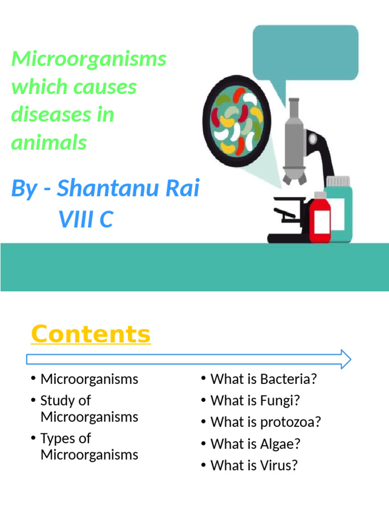 Microorganisms Which Causes Diseases in Animals | PDF | Microorganism ...