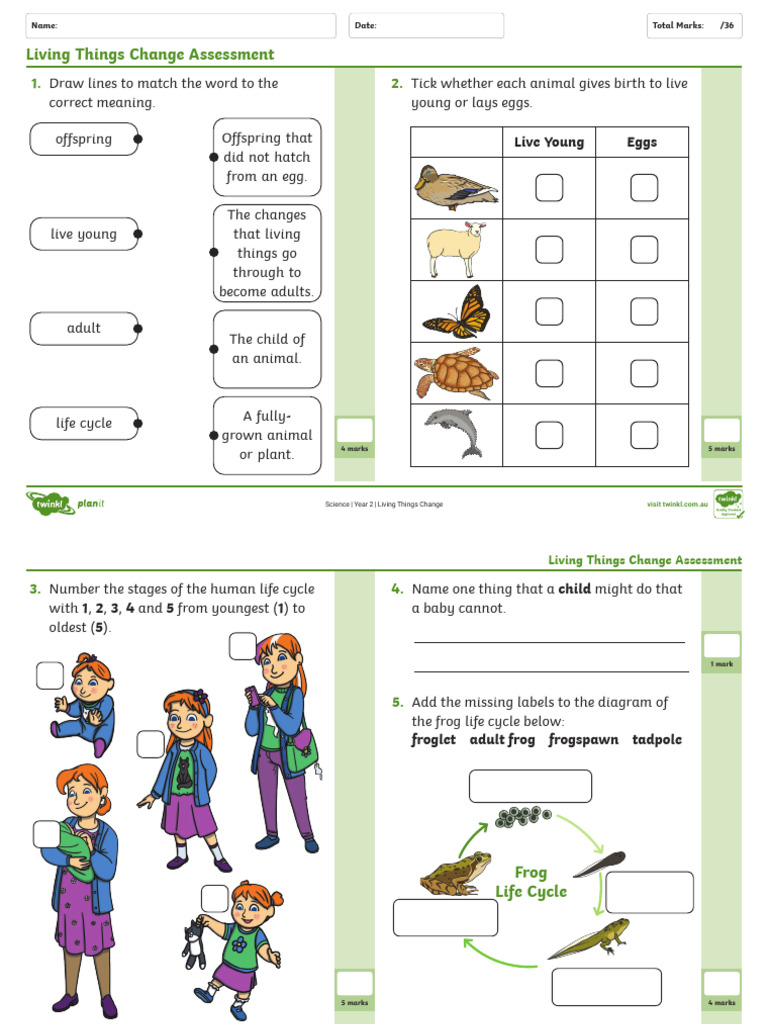 Year 2 Living Things Change Assessment | PDF | Frog | Foods