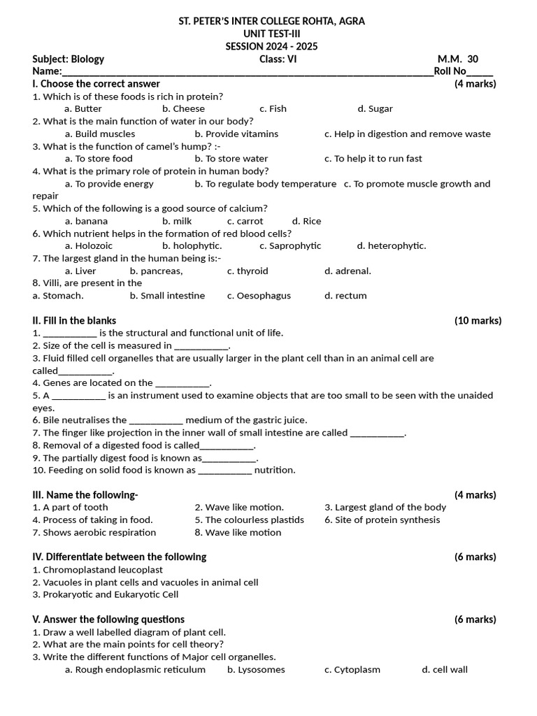 Class VI Biology Unit Test 2024-25 | PDF | Cell (Biology) | Digestion