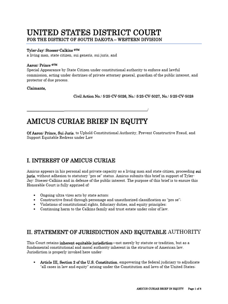 Amicus Curiae Brief on Equity Rights | PDF | Equity (Law) | Fiduciary
