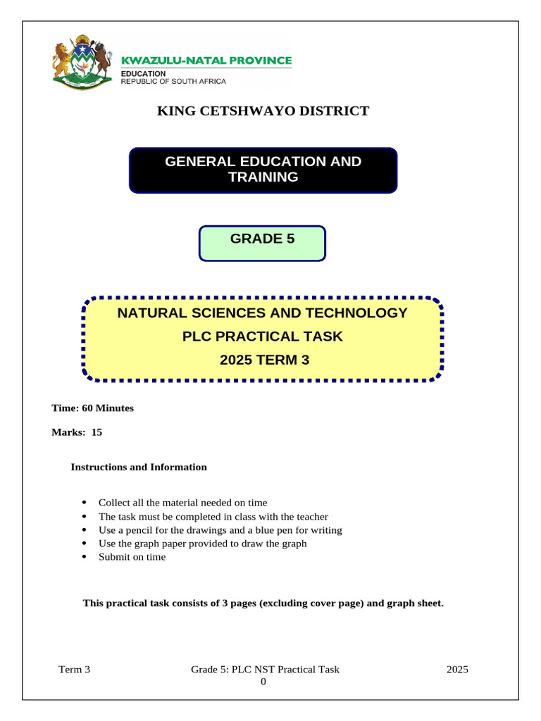 NST Grade 5 - Term 3 - PLC Practical Task - 2025 | PDF