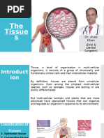 Chapter 4 Tissues Power Point | PDF | Tissue (Biology) | Epithelium