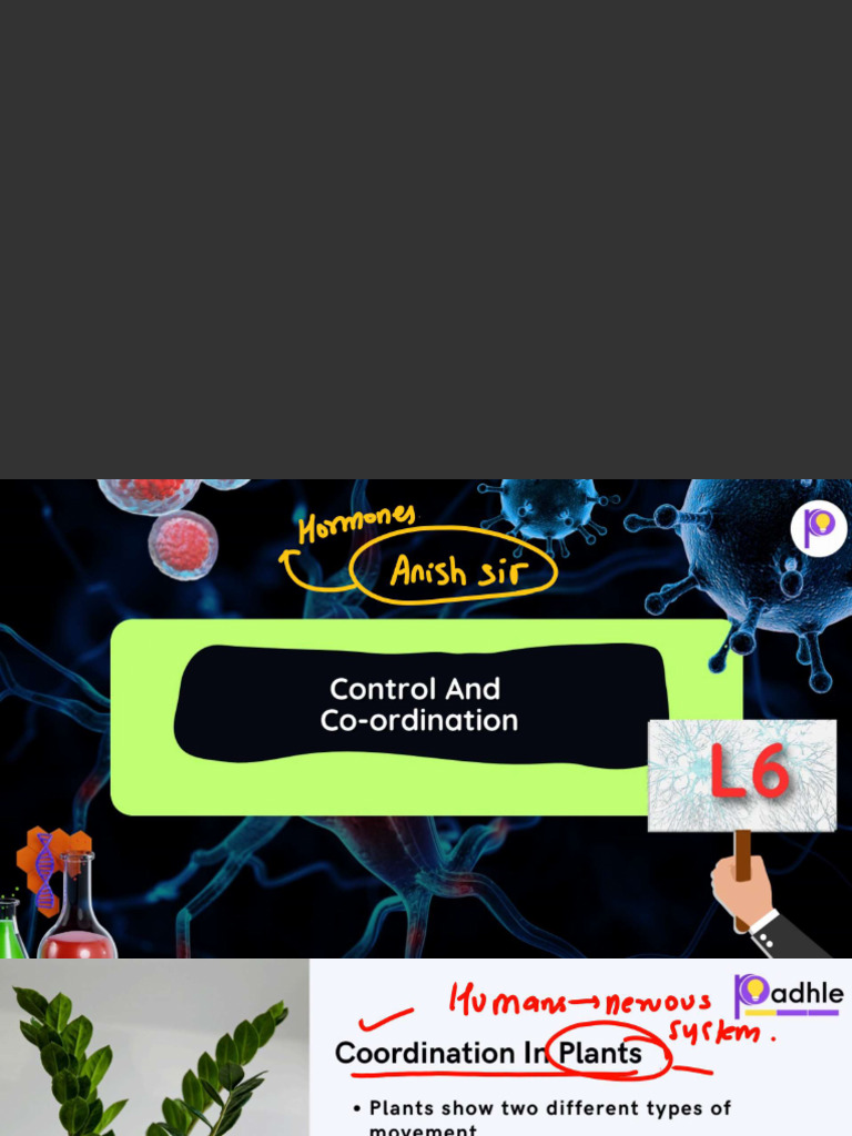 L6 - Control & Coordination | PDF