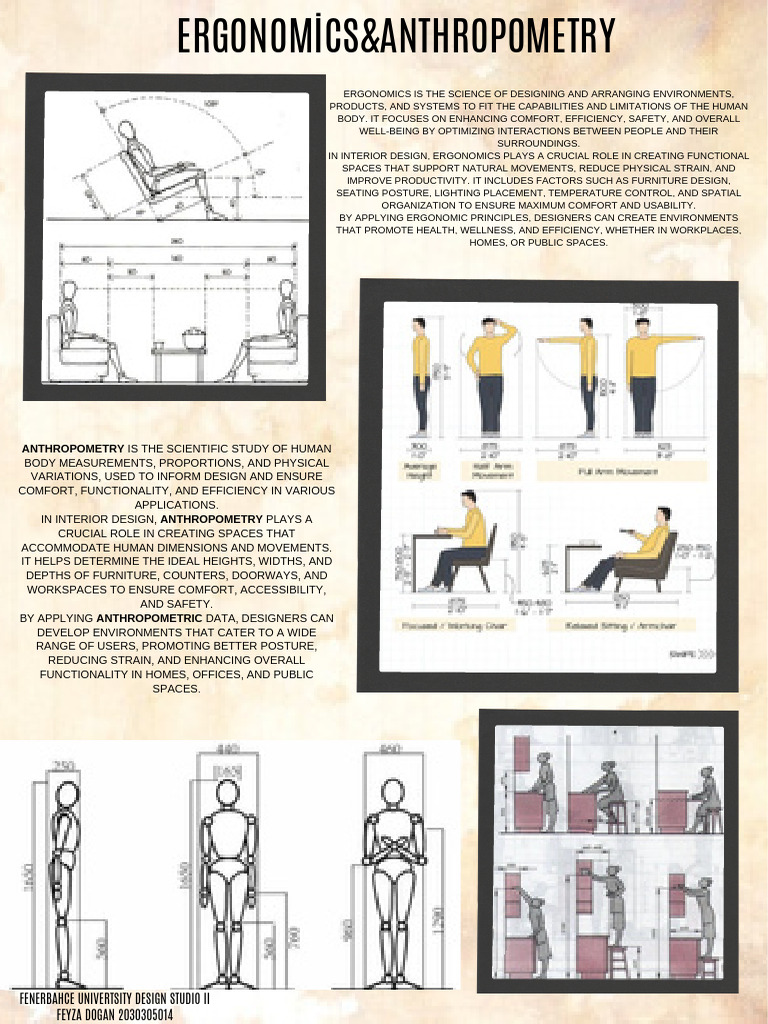 Anthropometry: Fenerbahce Univertsity Design Studio Ii FEYZA DOGAN ...