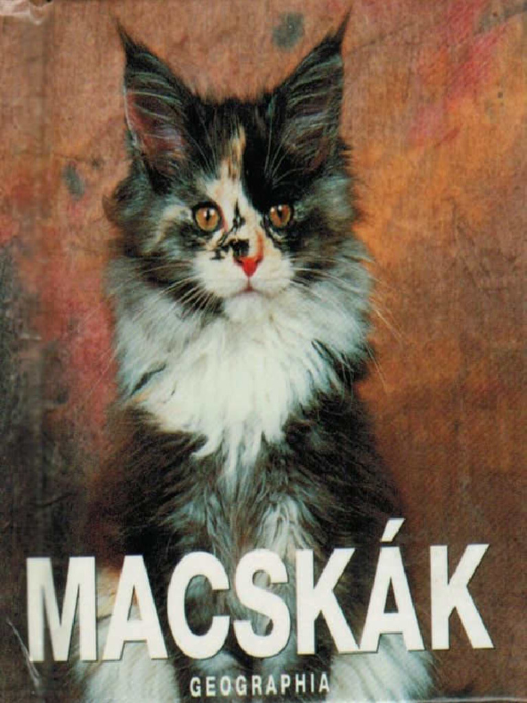 Macskák - Geographia Minikönyvek | PDF