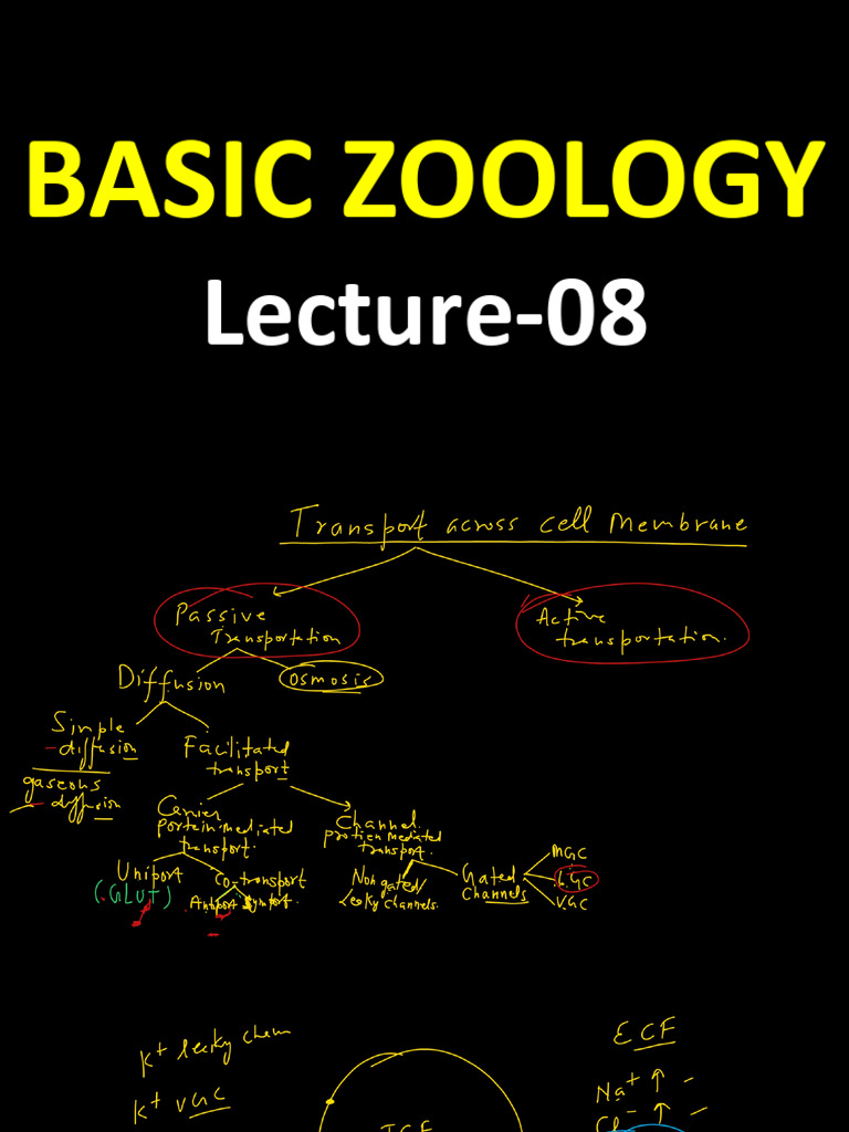 Basic Zoology Lec 08 3e54daaa 0d4c 43f4 9e8d 60100e31ddf9 | PDF
