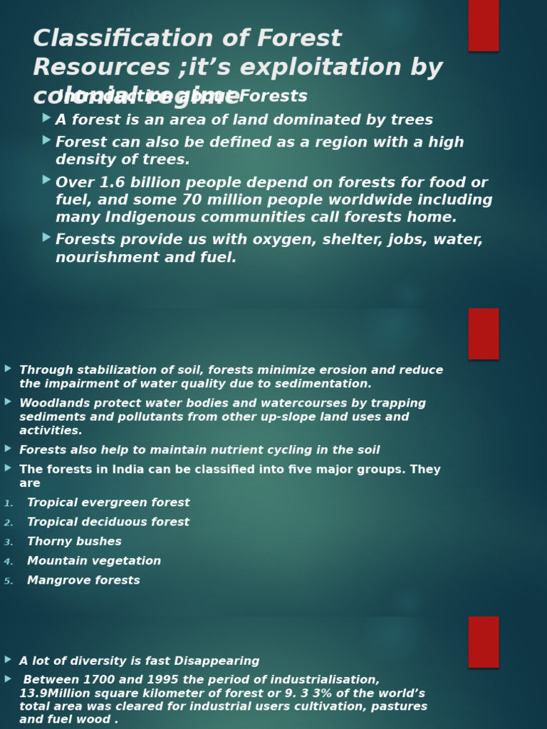 Aip Project Social Science | PDF | Forests | Agriculture